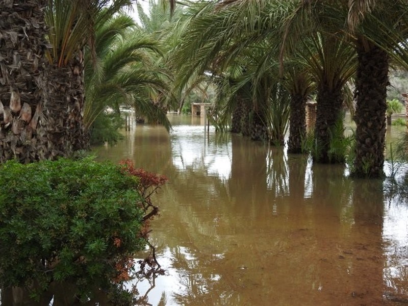 Elche evalúa los daños tras las lluvias, que han afectado especialmente ...